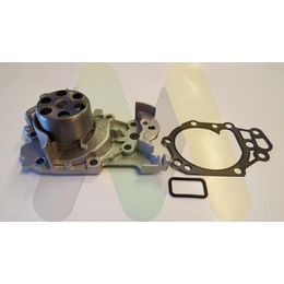 MOTAQUIP Wasserpumpe lvwp1013 f&uuml;r DACIA RENAULT TRUCKS NISSAN PROTON