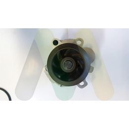 MOTAQUIP Wasserpumpe lvwp1062 f&uuml;r Ford Audi Skoda VW SEAT