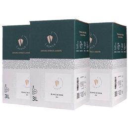 SCHILD.WEIN Bag-in-Box -Paket Blanc de Noir SX Merlot 2025 Trocken - Rheinhessen &ndash; Probierpaket Qualit&auml;tswein