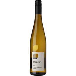 Weingut Strub 1710 Kalkstein Riesling 2025 Trocken - Rheinhessen &ndash; Wei&szlig;wein Qualit&auml;tswein