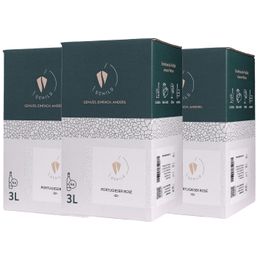 SCHILD.WEIN Bag-in-Box -Paket Ros&eacute; -SX- Portugieser 2024 Trocken - Rheinhessen &ndash; Probierpaket Qualit&auml;tswein