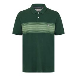 Original Penguin - Poloshirt f&uuml;r Herren (Gr&uuml;n)