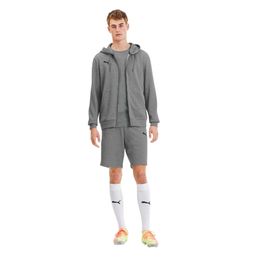 Puma - "TeamGoal 23 Casuals" Kapuzenjacke f&uuml;r Herren (Grau)