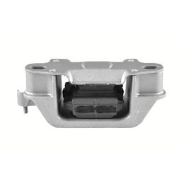 TEDGUM Lagerung, Motor ted58916 vorne rechts f&uuml;r Ford