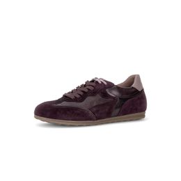 Gabor Damen Sneaker, Gr. 38dunkellila, metallicfarben, Glattleder, Veloursleder, Schuhe, Schn&uuml;rschuh, Halbschuh mit modischen Kontrastbes&auml;tzen,