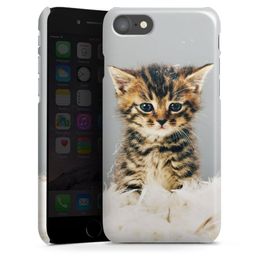 DeinDesign iPhone SE (2022) Handy Premium Case Smartphone Handyh&uuml;lle Schutzh&uuml;lle gl&auml;nzend Cat Pet Feather Premium Case