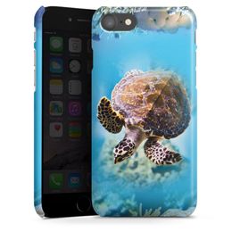 DeinDesign iPhone SE (2020) Handy Premium Case Smartphone Handyh&uuml;lle Schutzh&uuml;lle gl&auml;nzend Animals Ocean Turtle Premium Case