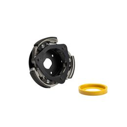 Kupplung Malossi Maxi Delta f&uuml;r 135mm Kupplungsglocke f&uuml;r Honda Forza 125