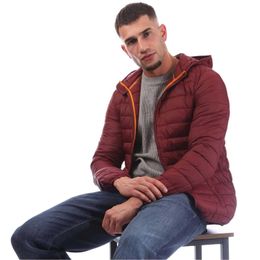 Aquascutum - Steppjacke f&uuml;r Herren (Bordeaux)