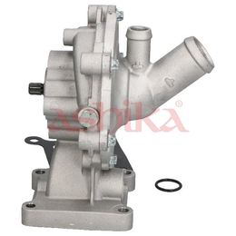 ASHIKA Wasserpumpe 35000302c f&uuml;r Ford JAGUAR