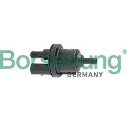 BORSEHUNG b12317 f&uuml;r VW