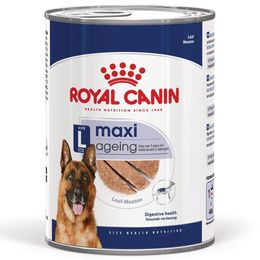 Royal Canin SHN Maxi Ageing Loaf Can Hunde-Nassfutter Senior Hunde 12x410g