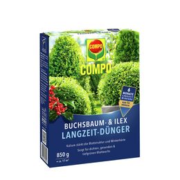 Compo Buchsbaum- und Ilex Langzeit-D&uuml;nger 850 g