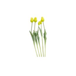 M&ouml;bel Kraft Franz&ouml;sischer Tulpenbund gelb Polypropylen,Kunststoff Ma&szlig;e (cm): H: 47 &raquo; M&ouml;bel Kraft