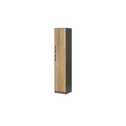 M&ouml;bel Kraft Aktenschrank mit Massivholzfront SOLIDLine grau Ma&szlig;e (cm): B: 40 H: 198,2 T: 40.0 &raquo; M&ouml;bel Kraft
