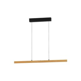 Fischer-Honsel Pendelleuchte schwarz Ma&szlig;e (cm): B: 8 H: 180 &raquo; M&ouml;bel Kraft