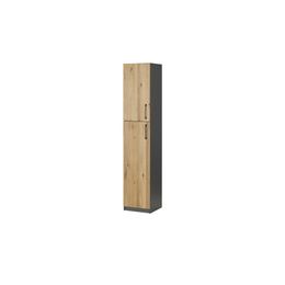 M&ouml;bel Kraft Aktenschrank mit Massivholzfront SOLIDLine grau Ma&szlig;e (cm): B: 40 H: 198,2 T: 40.0 &raquo; M&ouml;bel Kraft