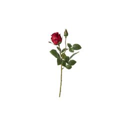 M&ouml;bel Kraft Rose rot Kunststoff,Eisen Ma&szlig;e (cm): H: 37 &raquo; M&ouml;bel Kraft