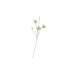 M&ouml;bel Kraft Klatschmohn creme Kunststoff,Polyester Ma&szlig;e (cm): H: 107 &raquo; M&ouml;bel Kraft