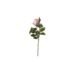 M&ouml;bel Kraft Rose rosa/pink Kunststoff,Eisen Ma&szlig;e (cm): H: 37 &raquo; M&ouml;bel Kraft