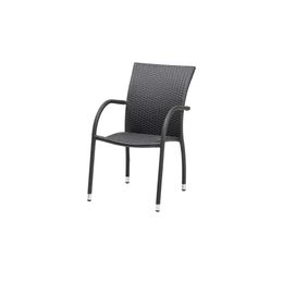 Zebra Stapelsessel Milano grau Ma&szlig;e (cm): B: 53 H: 87 T: 70.0 &raquo; M&ouml;bel Kraft