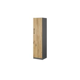 M&ouml;bel Kraft Aktenschrank mit Massivholzfront SOLIDLine grau Ma&szlig;e (cm): B: 40 H: 159,8 T: 40.0 &raquo; M&ouml;bel Kraft