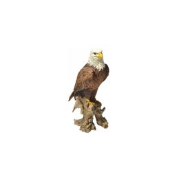 dazikemo Dekofigur Gartenfigur Wei&szlig;kopfseeadler