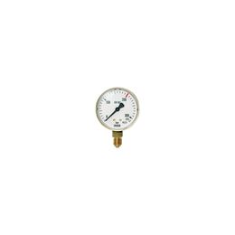 Riegler Manometer neutral, G 1/4 radial unten, Messber. 0 - 315 bar, &Atilde;&tilde; 63 (424)
