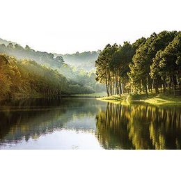 SONSTIGE Bild WALD & SEE P