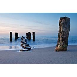 SONSTIGE Bild SEASIDE S