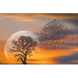 SONSTIGE Bild VOGELSCHWARM & MOND