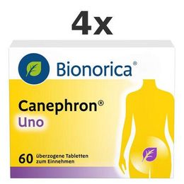 4x Canephron Uno &uuml;berzogene Tabletten 60 St