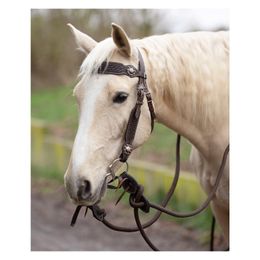 Passion 4Q Western-Trense deep brown Full