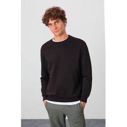 Herren Regular Fit Rundhals Sweatshirt