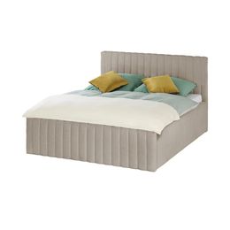 M&ouml;bel Kraft Polsterbett beige Ma&szlig;e (cm): B: 181 H: 112 &raquo; M&ouml;bel Kraft