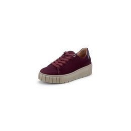 Peter Hahn Gabor - Sneaker, rot, Gr. 37.5 - Leder