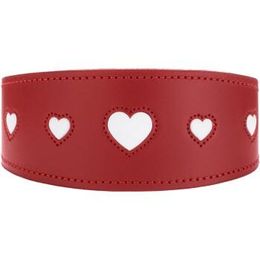 Sport Dog Dog Sport HUNTER Windhundhalsband love rot S