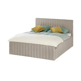 M&ouml;bel Kraft Polsterbett beige Ma&szlig;e (cm): B: 201 H: 112 &raquo; M&ouml;bel Kraft