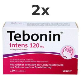 2x Tebonin intens 120 mg Filmtabletten 120 St
