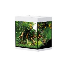 Oase StyleLine Aquarium wei&szlig; 85