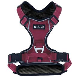 Petlando Outdoor Geschirr berry