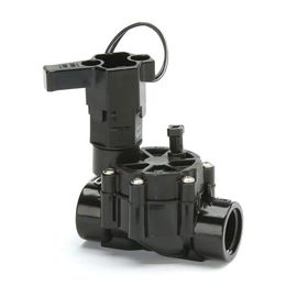 Rain Bird Magnetventil Typ 100-DV 1" IG