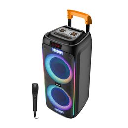 Denver TSP-456 Bluetooth Lautsprecher Trolley&ndash;600W, Mikrofon, schwarz