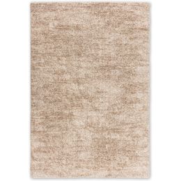 Teppich Astra, B:160cm H:30mm L:230cmbeige meliert, Polyester, Wohnzimmer, Teppiche, "Salerno 250", dichter Indoor Teppich, Designed in Germany,