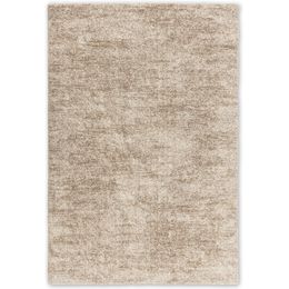 Teppich Astra, B:67cm H:30mm L:130cmbeige meliert, Polyester, Wohnzimmer, Teppiche, "Salerno 250", dichter Indoor Teppich, Designed in Germany,
