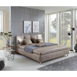 Polsterbett, B:210cm L:210cm, beige, Westfalia Schlafkomfort, Bezug 100% Polyester pflegeleicht, Polsterung: Polsterwatte, Material Gestell: