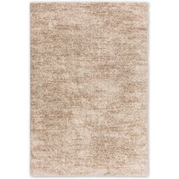 Teppich Astra, B:200cm H:30mm L:290cmbeige meliert, Polyester, Wohnzimmer, Teppiche, "Salerno 250", dichter Indoor Teppich, Designed in Germany,