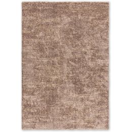 Teppich Astra, B:67cm H:30mm L:130cmtaupe meliert, Polyester, Wohnzimmer, Teppiche, "Salerno 250", dichter Indoor Teppich, Designed in Germany,