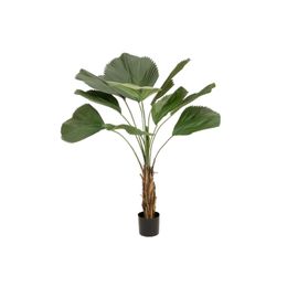 EUROPALMS FIRESILX Gro&szlig;bl&auml;ttrige Strahlenpalme, B1 schwer entflammbar, 140cm