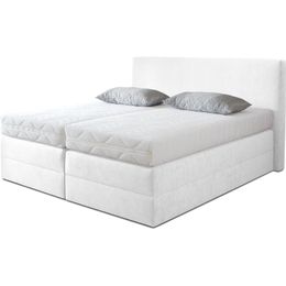 Westfalia Schlafkomfort Boxspringbett wahlweise mit Kaltschaum-Topper wei&szlig; Microvelours (100% Polyester) Microvelours Ohne Topper, Liegefl&auml;che B/L: 200cm x 200cm, Gewicht bis